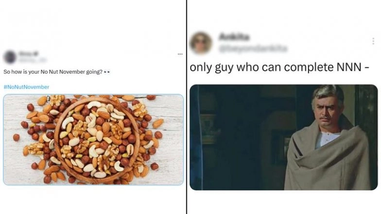 No Nut November 2024 Funny Memes and Jokes: Rib-Tickling NNN Puns ...