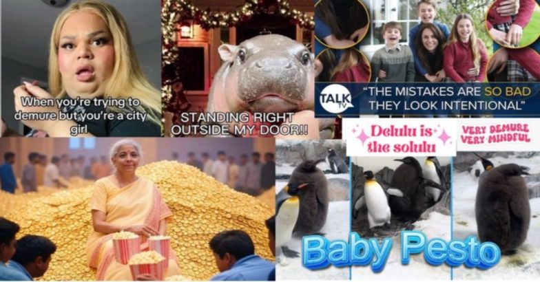 Best Memes of 2024: From ‘Very Demure’ to Moo Deng, Top Viral Moments ...