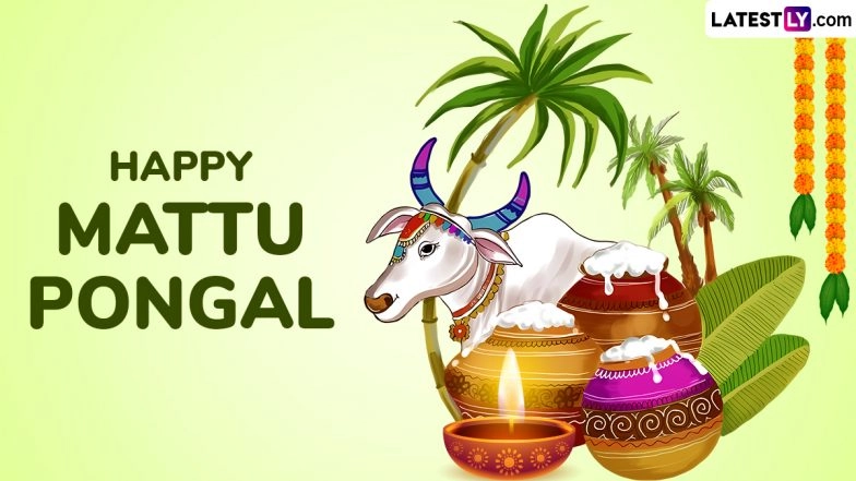 When Is Mattu Pongal 2025? Know Date, Sankranti Time, Rituals and ...