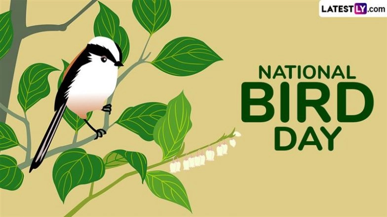 National Bird Day 2025: From Everglades National Park to Santa Ana ...