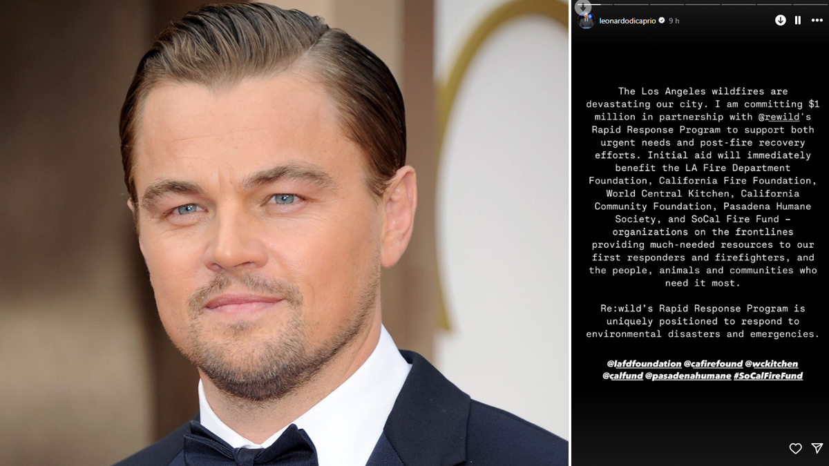 Hollywood News | Los Angeles Wildfires: Leonardo DiCaprio Donates USD 1 ...