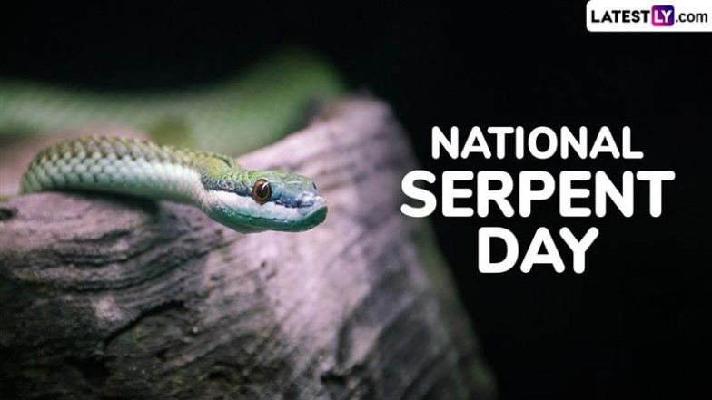 National Serpent Day 2025 Date in the United States: Know Aim and ...