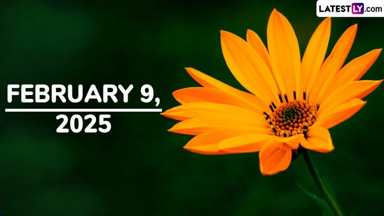 February 9, 2025 Special Days: Which Day Is Today? Know Holidays ...