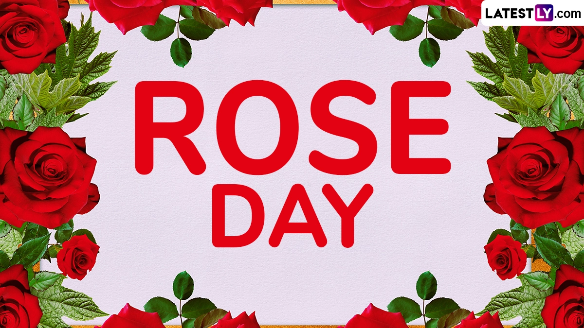 Festivals & Events News | Rose Day 2025 Wishes and Messages To ...