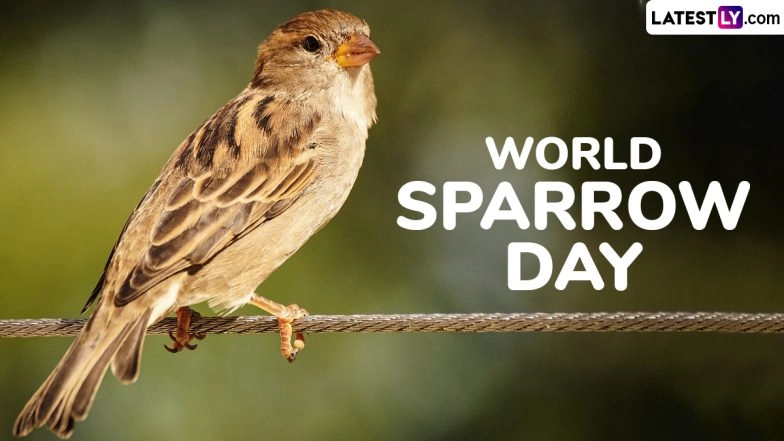 World Sparrow Day 2025 Quotes and Slogans: Share Messages, Images ...