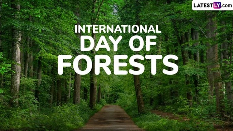 International Day of Forests 2025 Quotes: Powerful Save the Forest ...