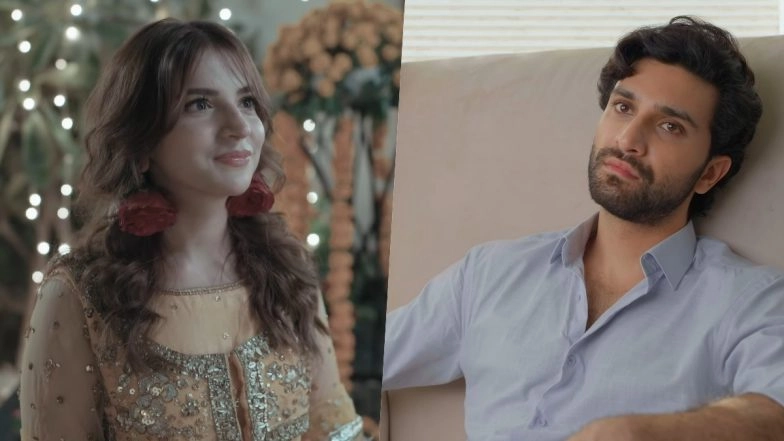 'Meem Se Mohabbat' Episode 25 Written Update: Talha Misses Roshi! Roshi To File a Cyber ...