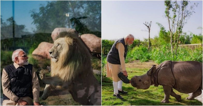 Vantara Jamnagar: Is Vantara Open for Public Visits? Is It a Zoo? Know ...