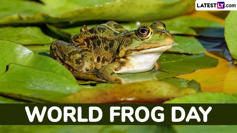 World Frog Day 2025 Date: Know Aim, History and Significance of the Day ...