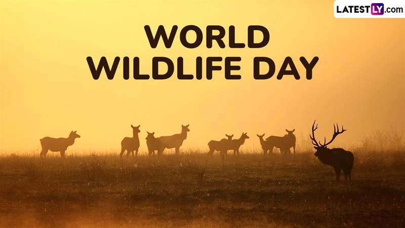Festivals & Events News | World Wildlife Day 2025: Know Date, Significance and All About the ...