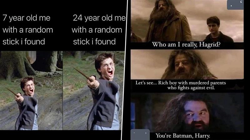 Viral News | Funniest Memes and Wizarding LOLs for Harry Potter Day ...