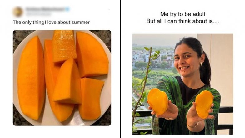 Mangoes and Funny Memes - the Best Summer Combination! Hilarious ...