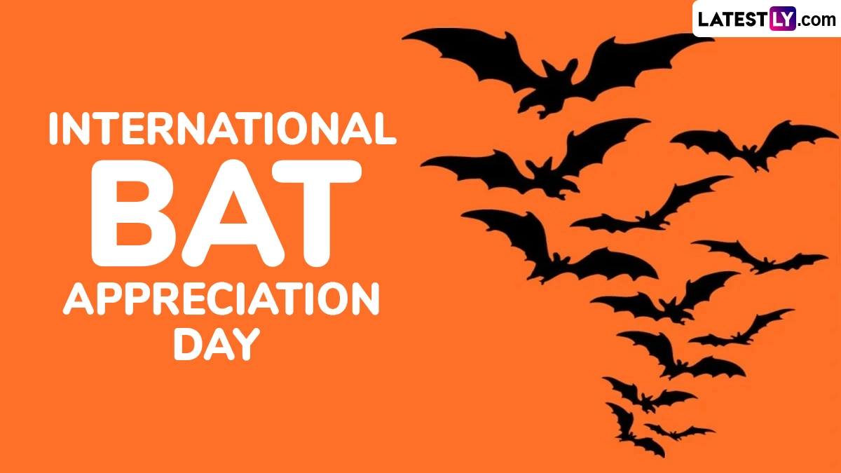 Festivals & Events News | Bat Appreciation Day 2025: Date, Significance & How Bats Help Our ...