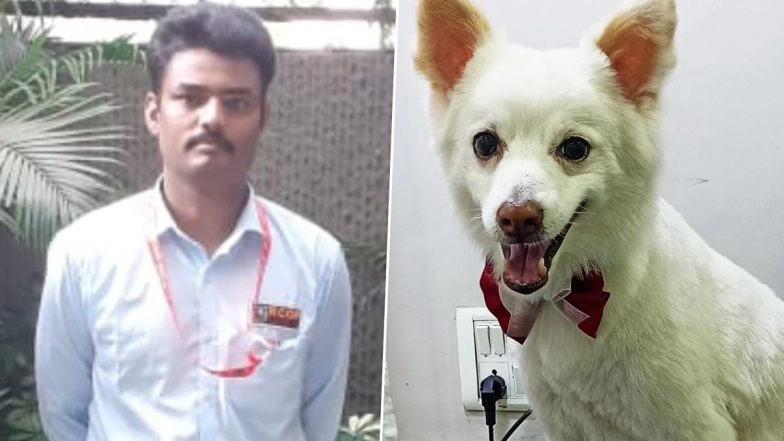 Dognapping in Mumbai: Security Supervisor Kidnaps Pomeranian Pet Dog ...