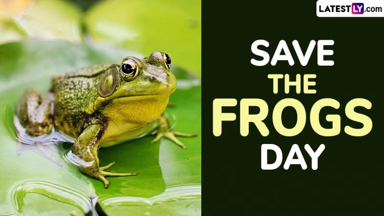 Save the Frogs Day 2025 Date: Know History and Significance of the Day ...