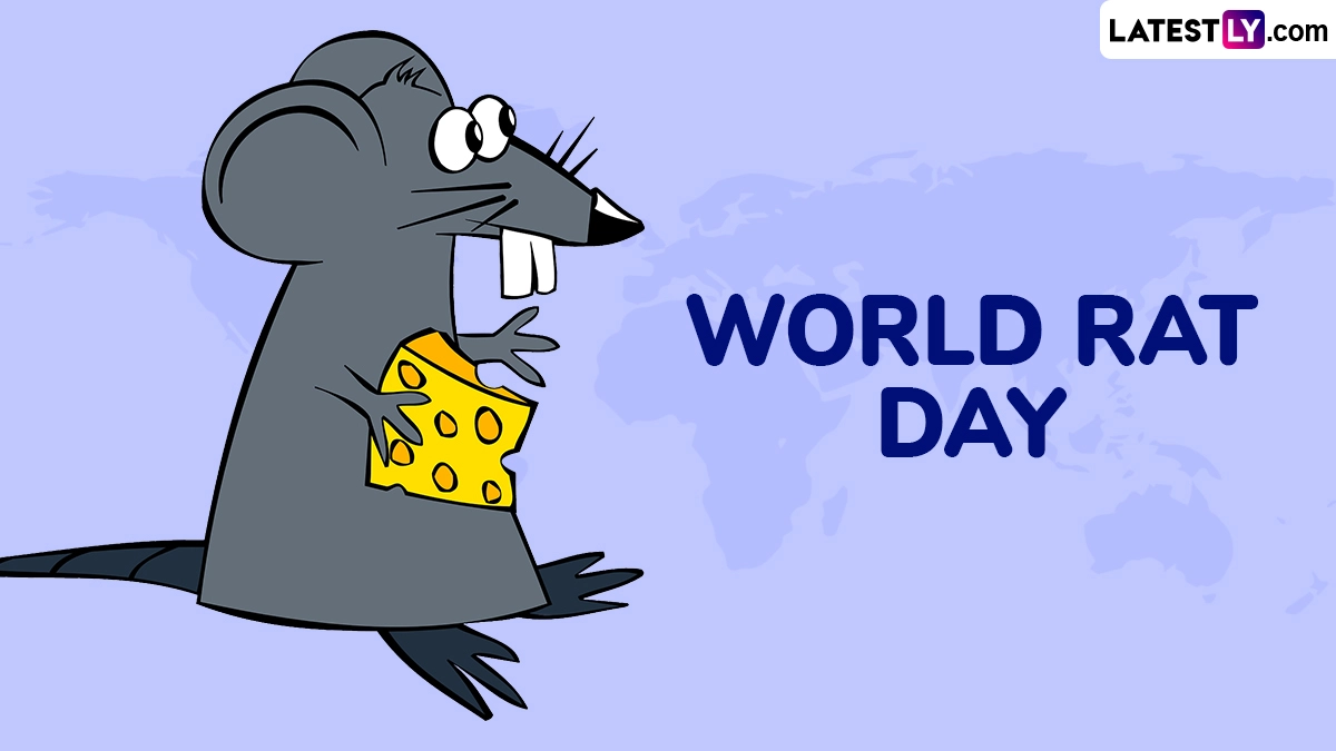 Festivals & Events News | When Is World Rat Day 2025? Know Date and ...