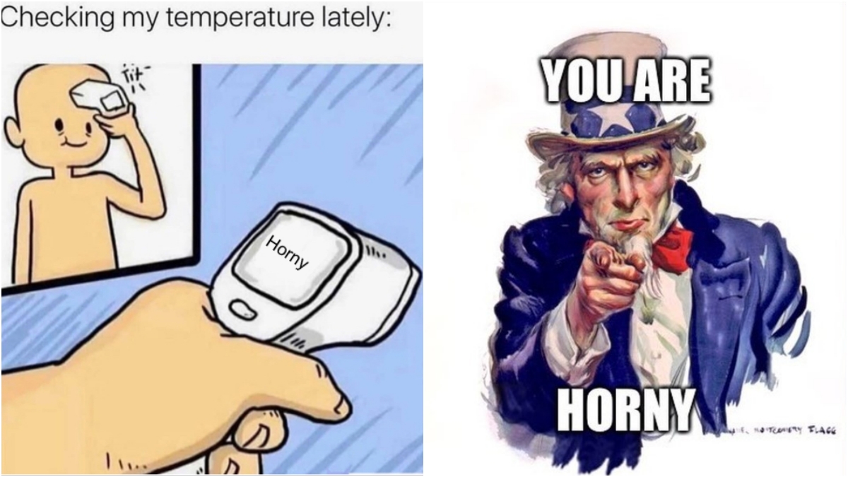 Horny Meme 6236