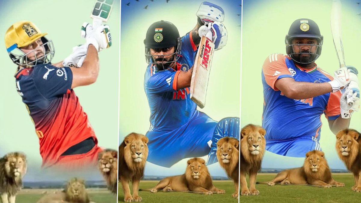Sports News | What We Know About Viral RCB Lion Template Trend Started ...