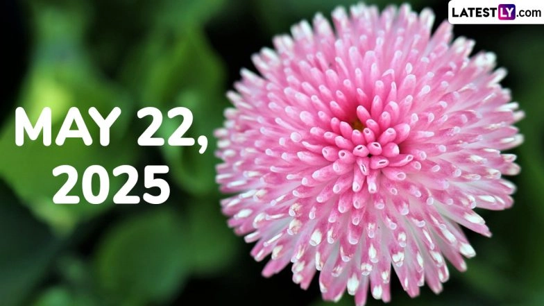 22 de mayo de 2025 Día especial: ¿Qué día es hoy? Conozca los ...