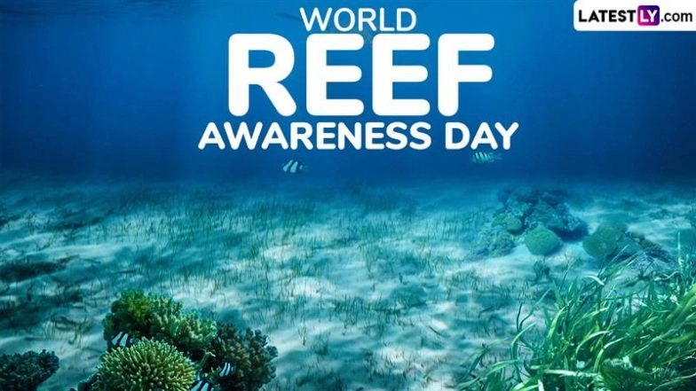 World Reef Awareness Day 2025 Quotes and Images: Share Slogans ...
