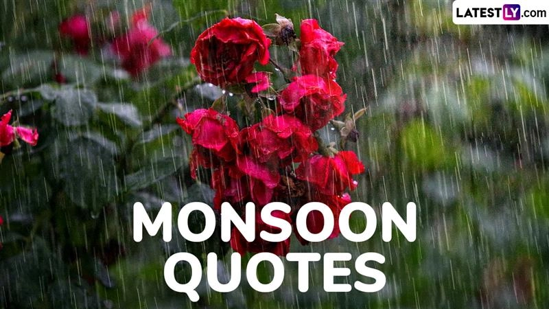 Viral News | Heartfelt Monsoon Quotes and Messages To Celebrate the ...