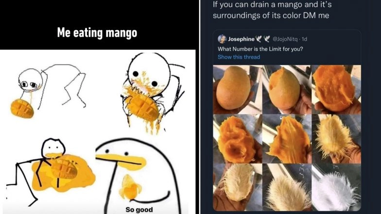 The Ultimate Mango Funny Memes You Can't Miss! Hilarious Jokes About ...