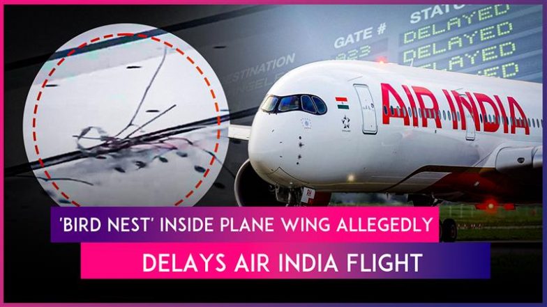 Air India Flight AI2354 Faces Delay Allegedly After ‘Bird Nest’ Found ...