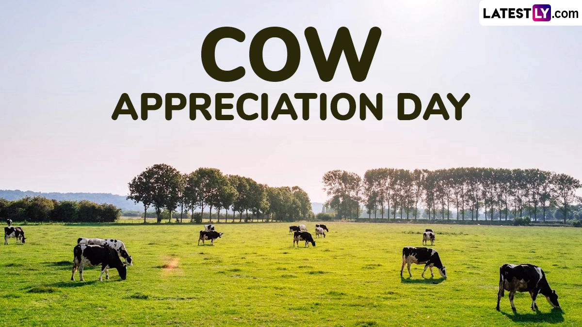 Festivals & Events News | When is Cow Appreciation Day 2025? Know Date ...