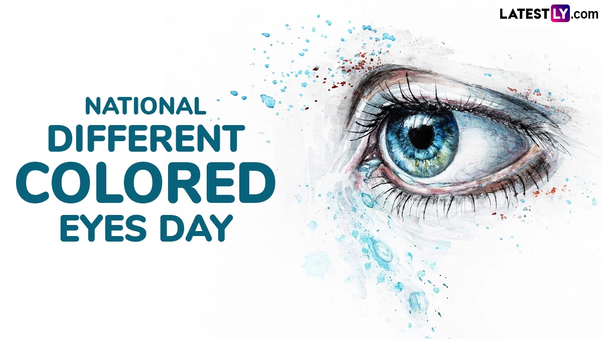 Festivals & Events News | When Is National Different Colored Eyes Day ...