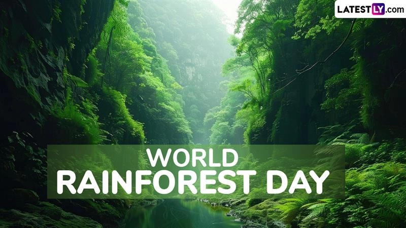 Festivals & Events News | Best Messages and Quotes To Send on World ...