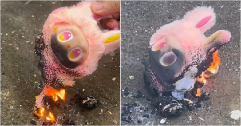 Are Labubus Demonic? Influencer Burns Viral Creepy-Looking Doll After ...