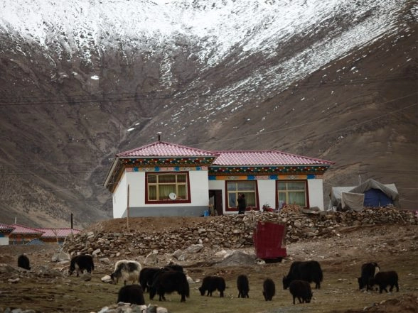 World News | Earthquake of Magnitude 4.1 Strikes Tibet | LatestLY