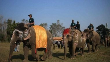 World News | Elephants Take Part in Penalty Shootout Competition at ...