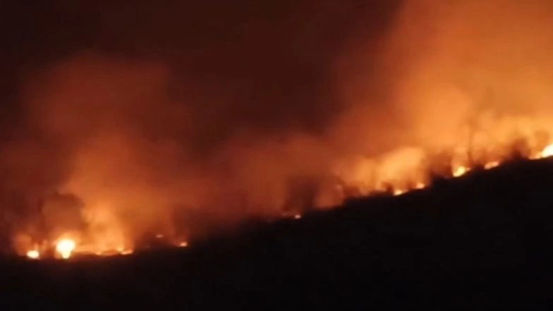 Uri Forest Fire: Massive Blaze Erupts Near Niloosa-Bijhama in Baramulla ...
