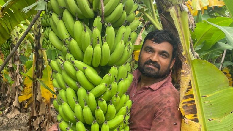 India News | Gujarat: Young Farmer Gives Up Chemical Fertilisers After ...