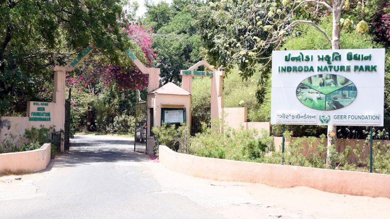 India News | Coolers, Sprinklers and Special Diets: Indroda Zoo ...
